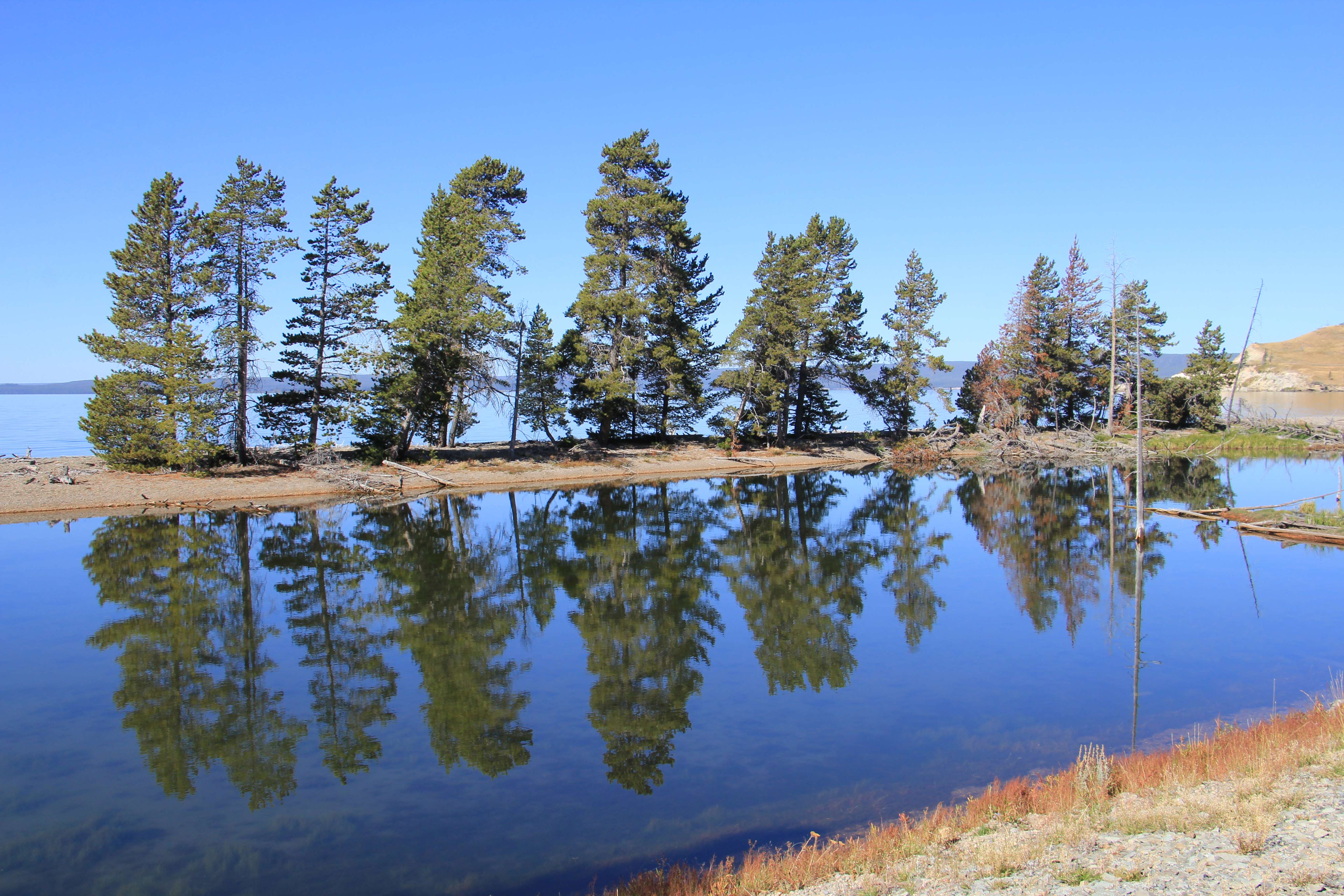 Wordless Wednesday – Seeing double | Now I'm 64